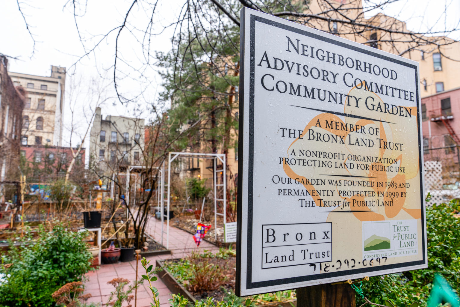 La Central: Brand New Affordable Apartments in South Bronx